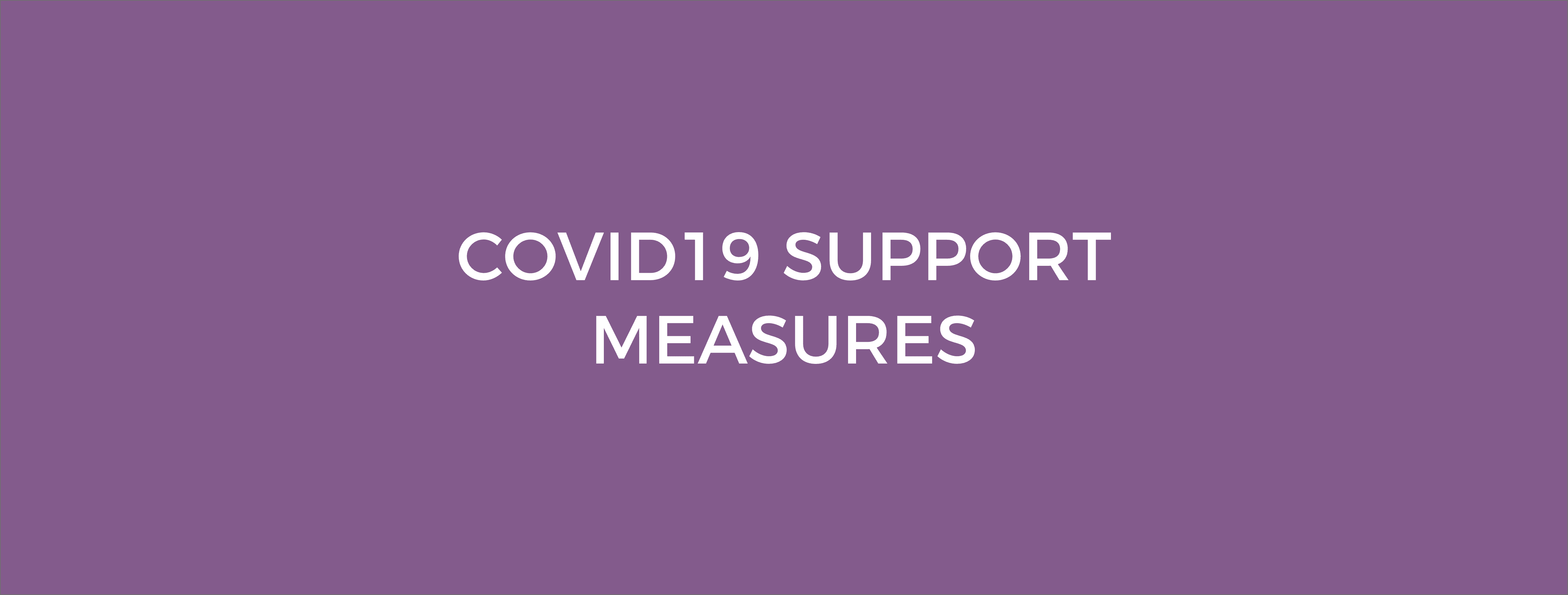 Covid 19 Government Support Measures Update January 2021 - Hunts ...